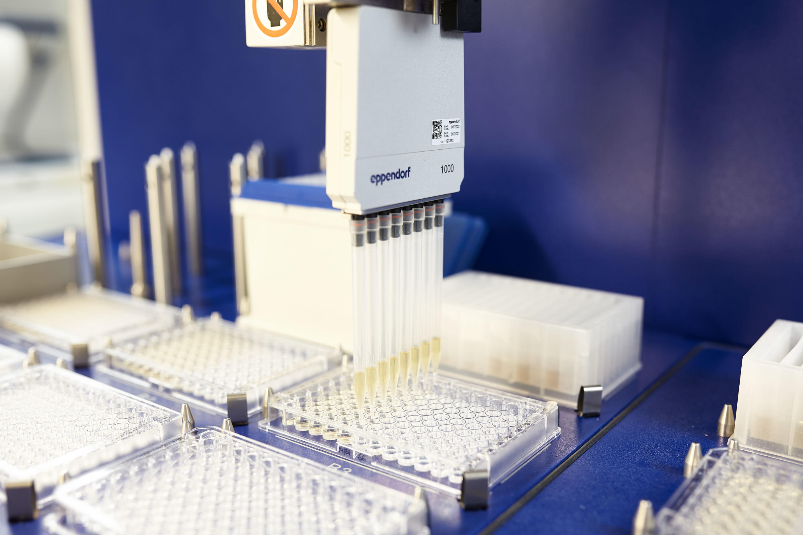 In Vitro studies - Epilogic